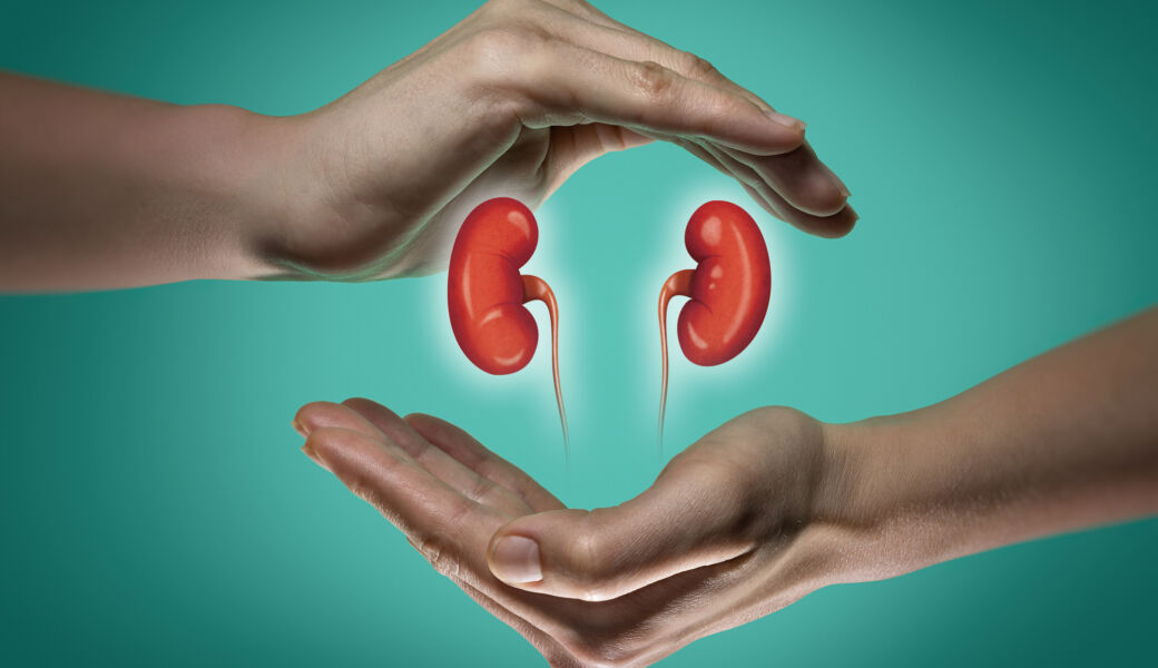 Kidney health: looking after your kidneys