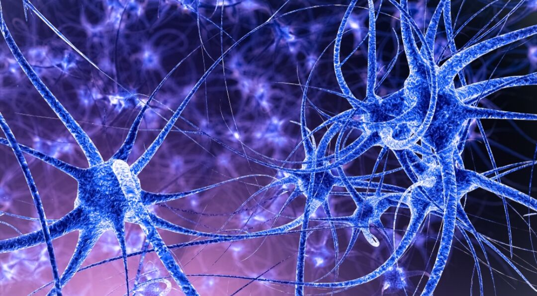 About neuropathic pain